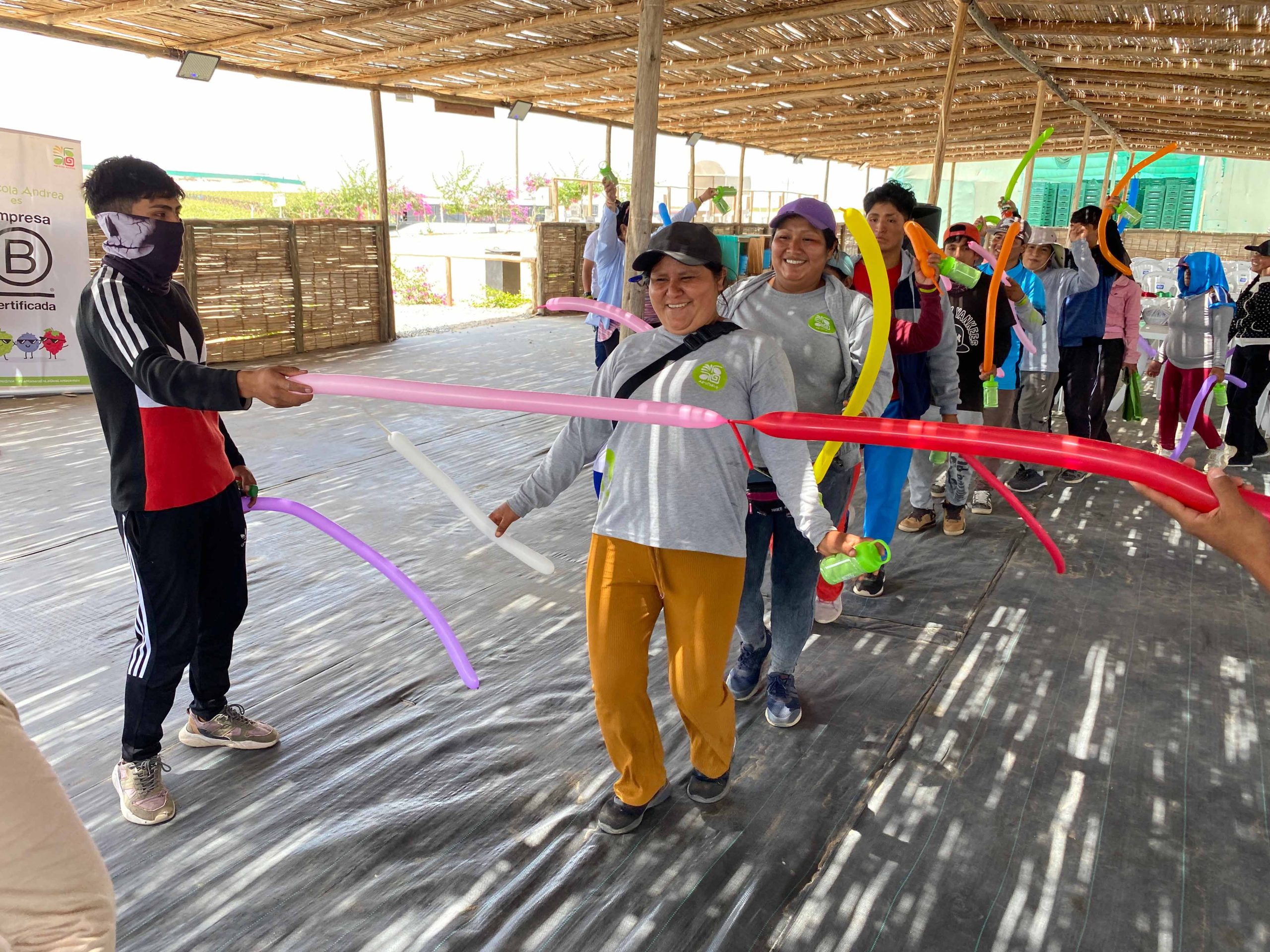 AEROTÓN AGROMIGIVA | Larama Berries